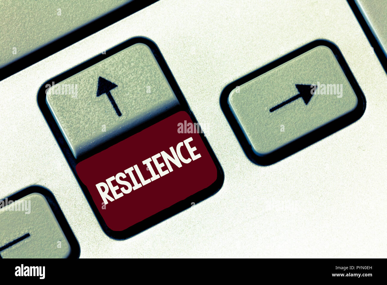 Word writing text Resilience. Business concept for Capacity to recover ...