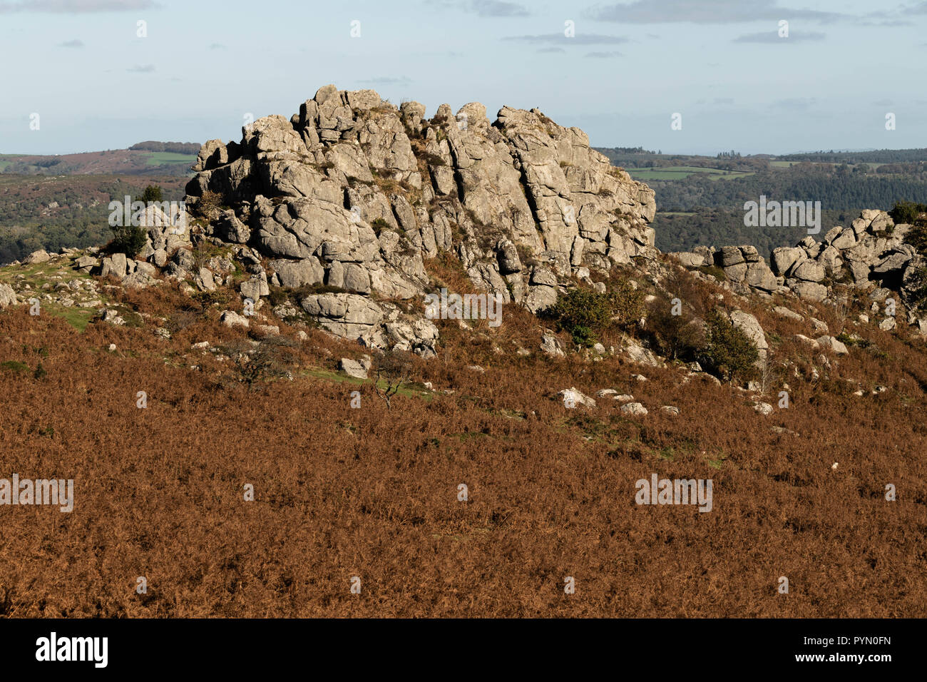 Hound Tor in autumn in Dartmoor National Park, Devon, South West ...