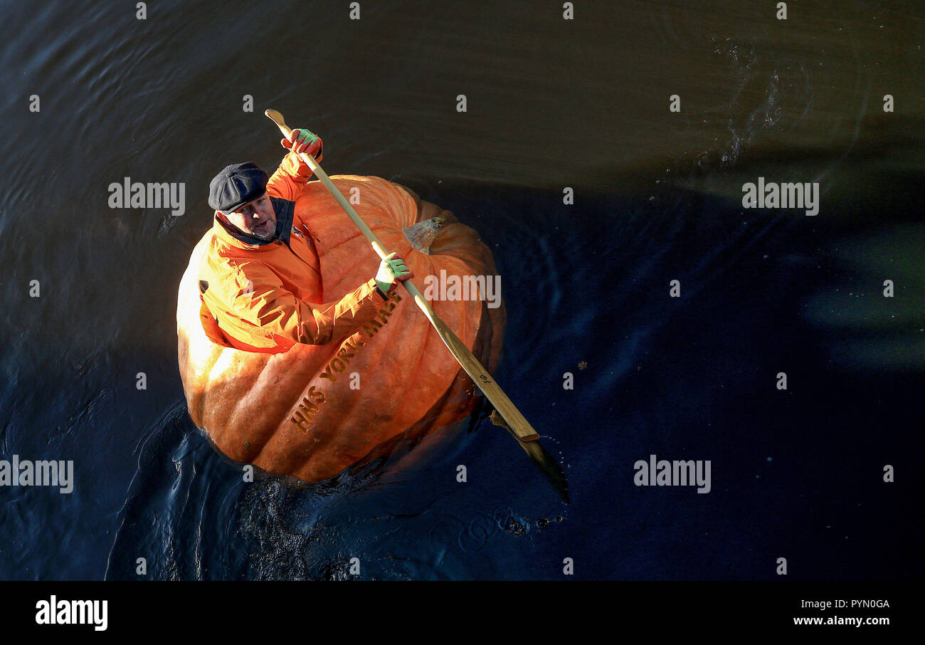 Tom pearcy rowing hi-res stock photography and images - Alamy