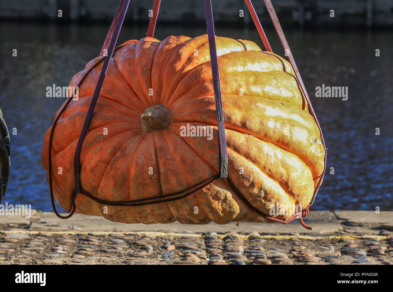 A pumpkin before being lowered into the water and rowed by Tom Pearcy ...