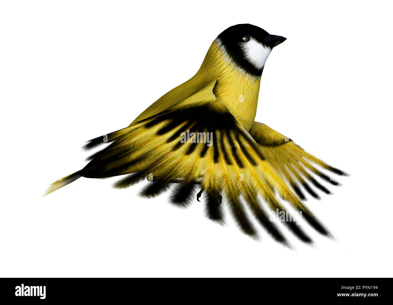 3D rendering of a flying songbird goldfinch isolated on white ...