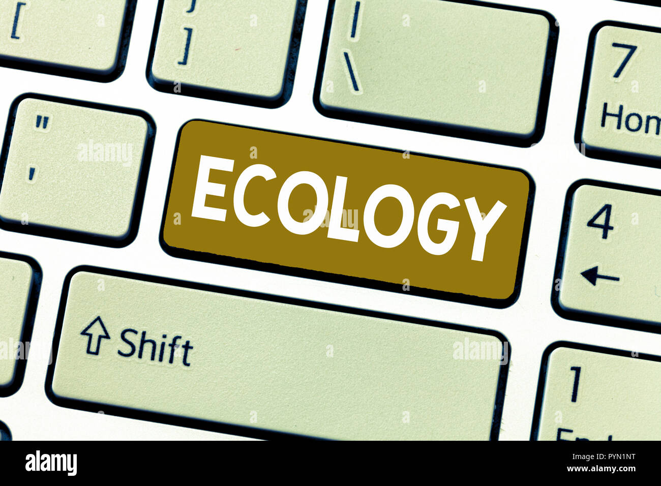 Word writing text Ecology. Business concept for Branch of science ...