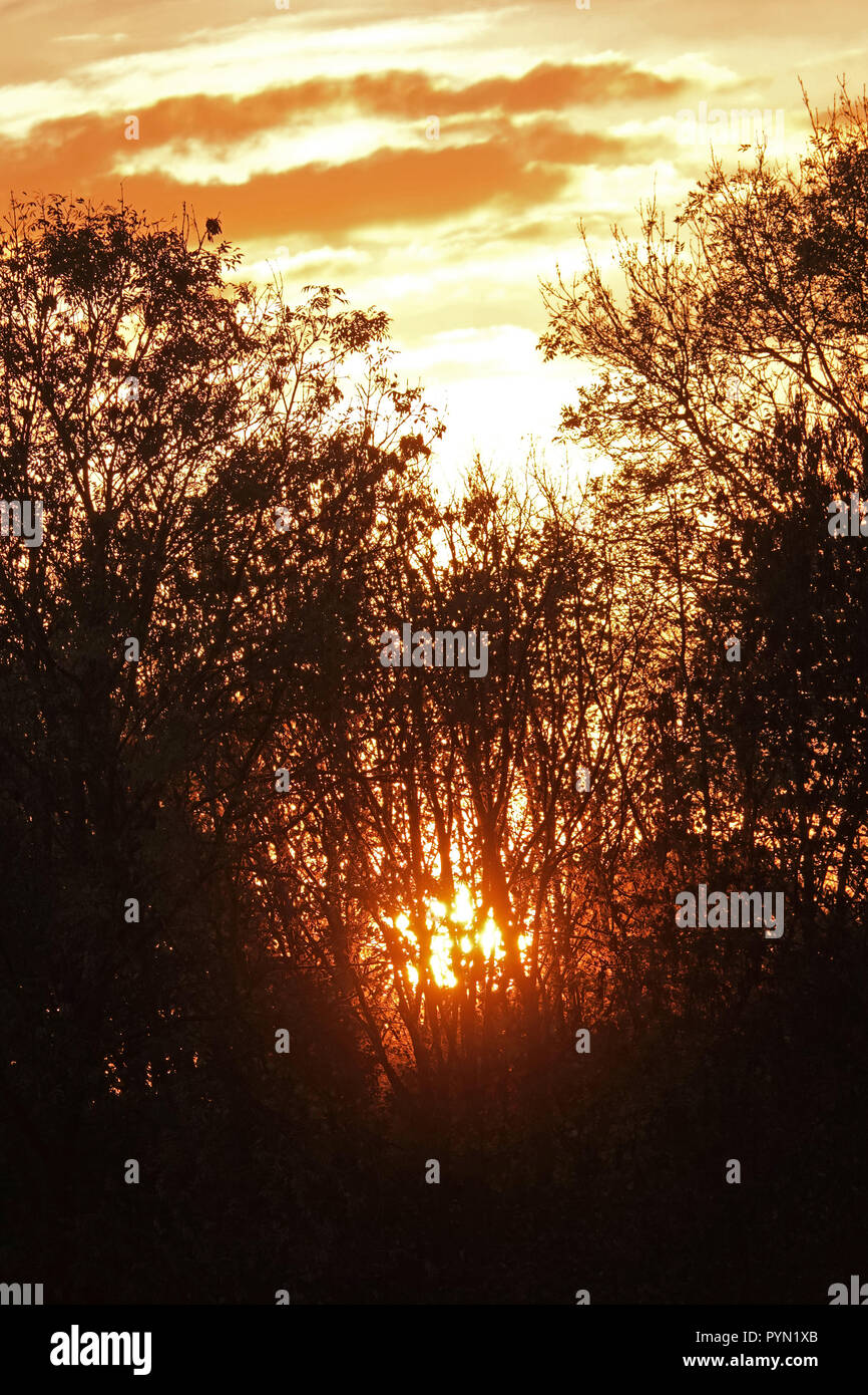 Sunset sky in Surrey, UK Stock Photo - Alamy
