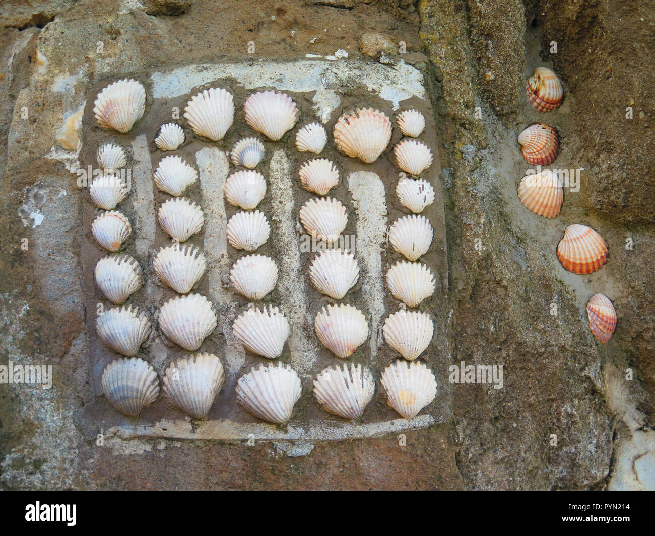 Set of seashells mounted on rock wall in Rural andalusian countryside ...