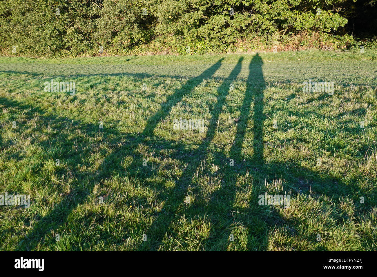 Three Long People Autumn Evening Shadows Stock Photo - Alamy