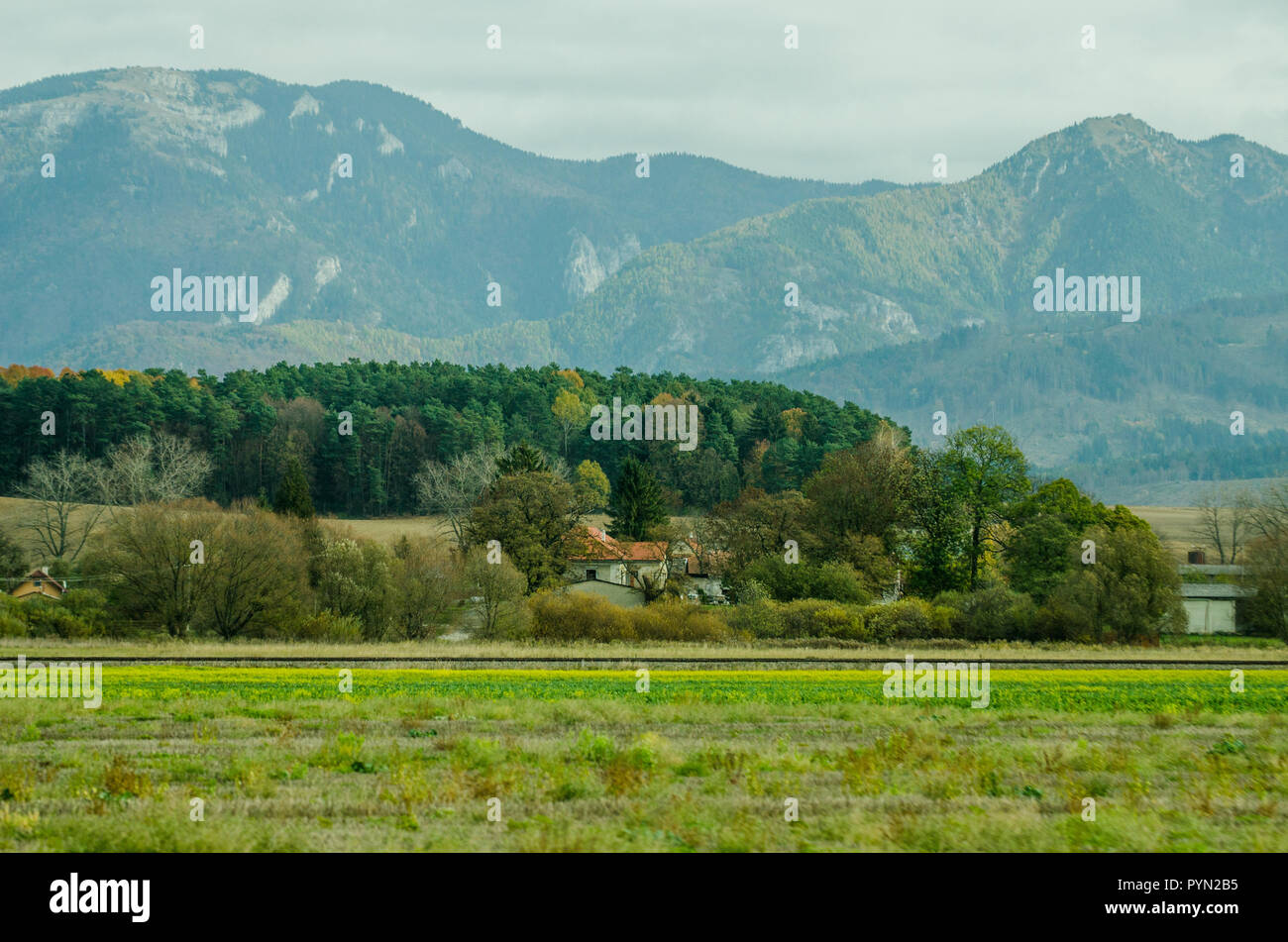 Ladnscape from Slovakia - green meadows and fields and mountains Stock ...