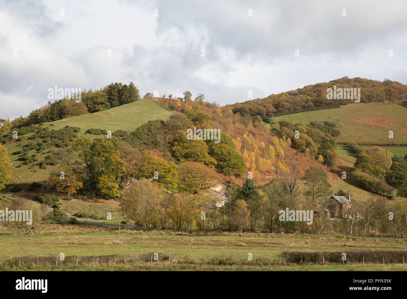 River Wye Valley trail in RHAYADER, Wales Stock Photo - Alamy