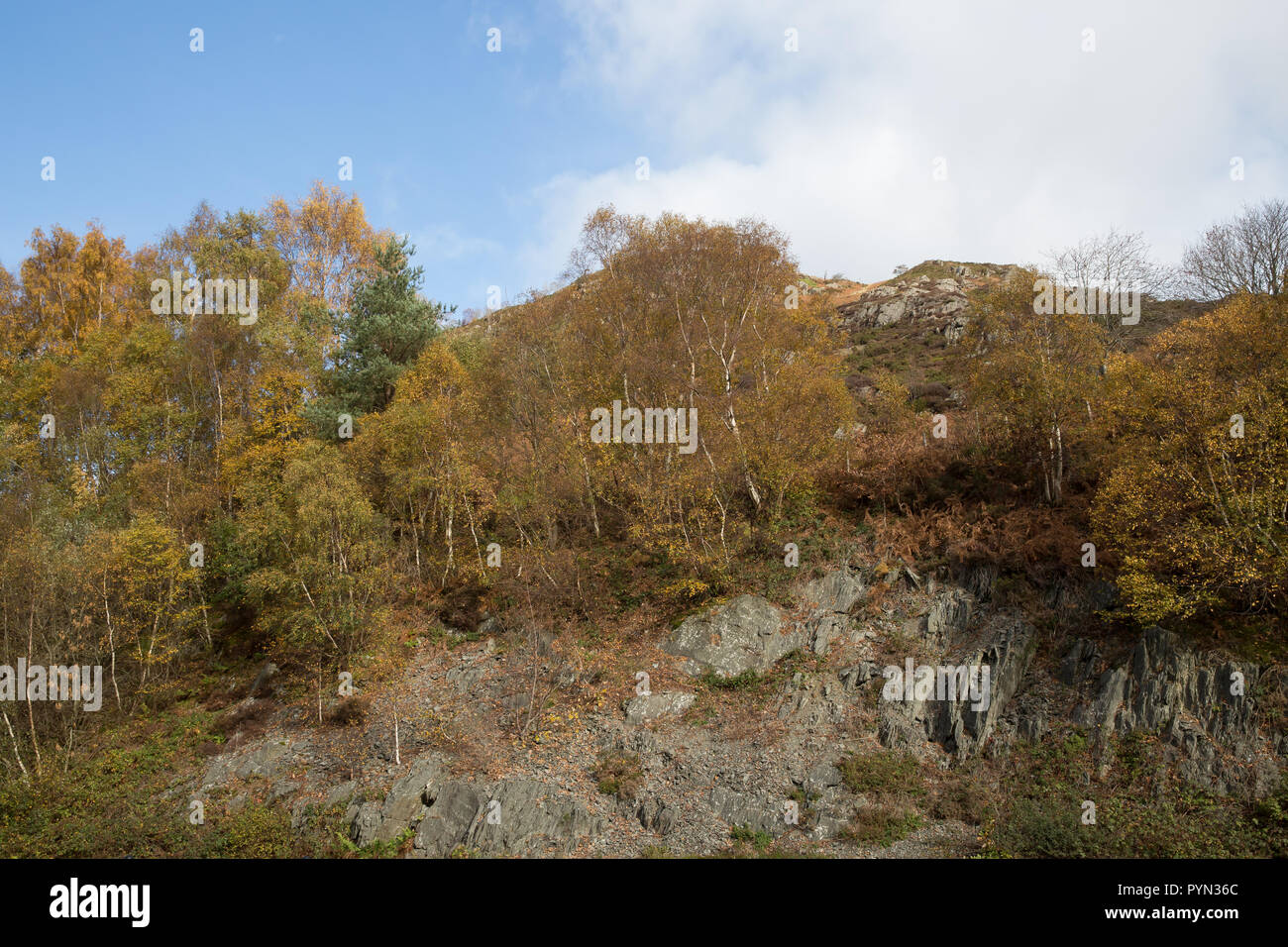 River Wye Valley trail in RHAYADER, Wales Stock Photo - Alamy