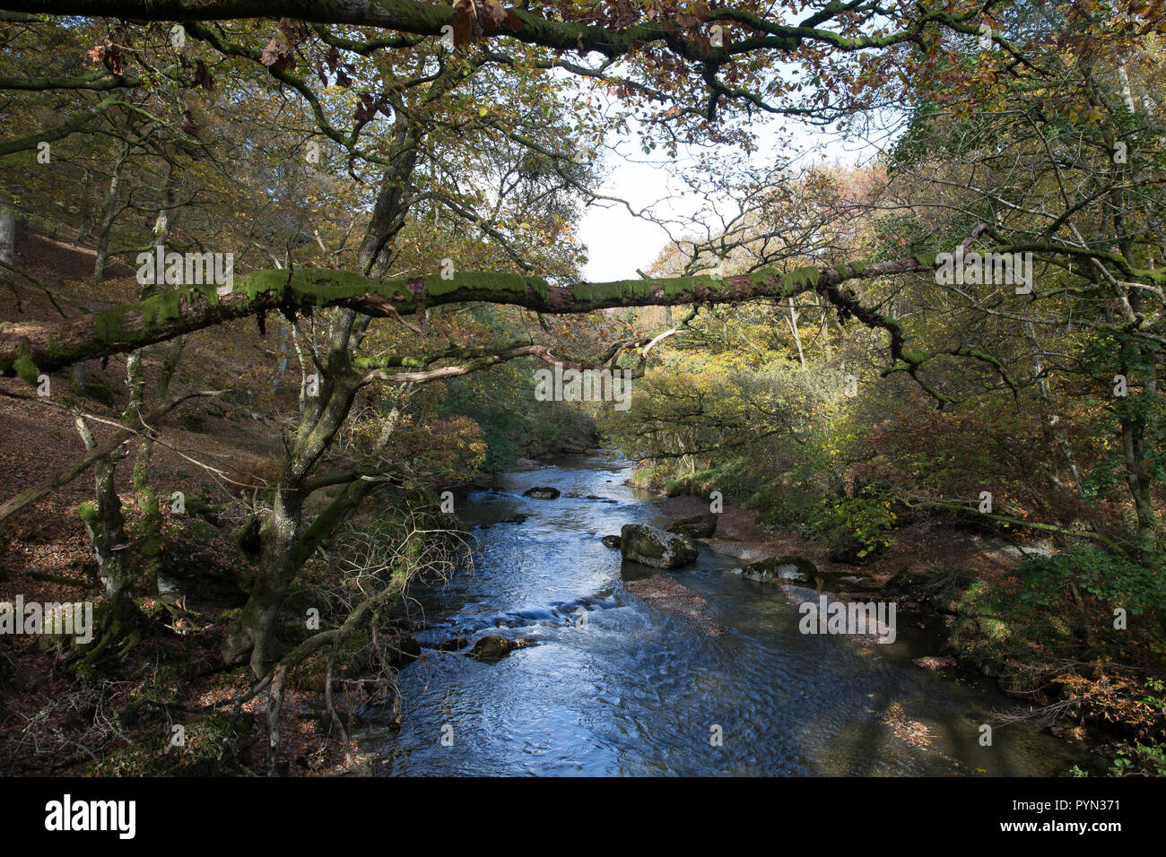 River Wye Valley trail in RHAYADER, Wales Stock Photo - Alamy