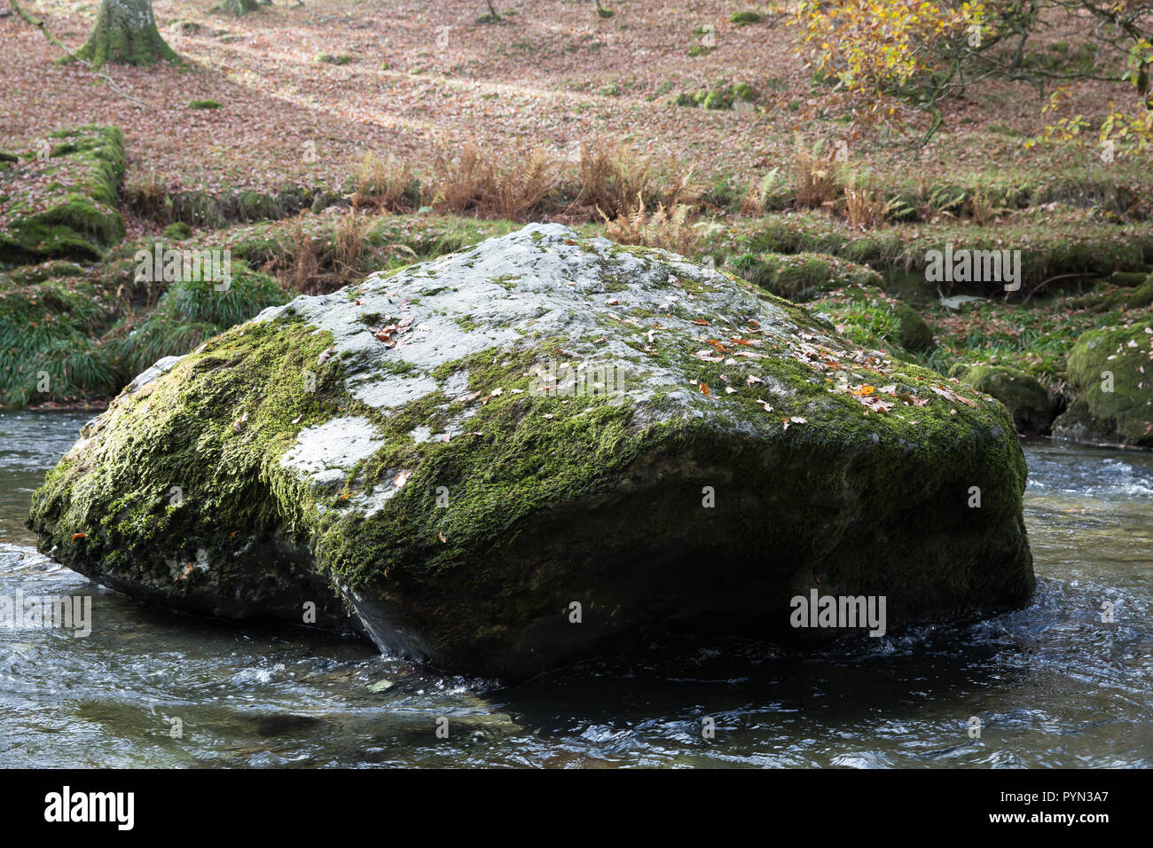 River Wye Valley trail in RHAYADER, Wales Stock Photo - Alamy