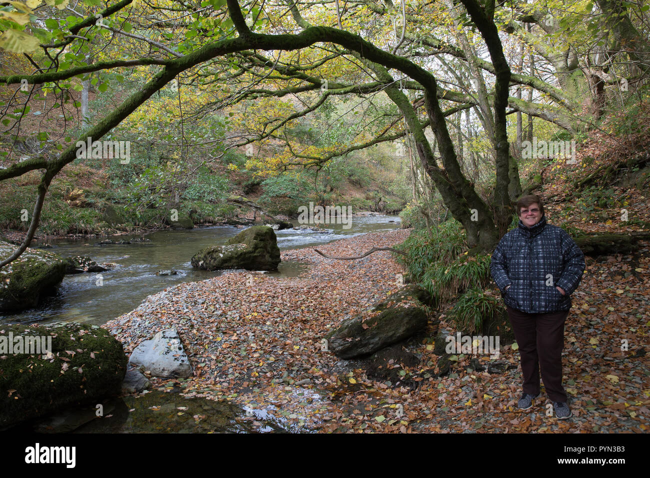 River Wye Valley trail in RHAYADER, Wales Stock Photo - Alamy