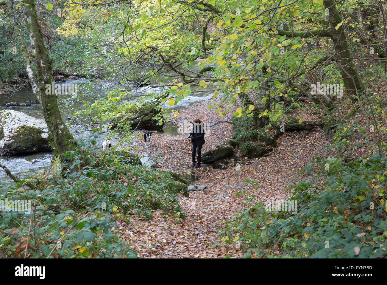 Wye valley autumn walker hi-res stock photography and images - Alamy