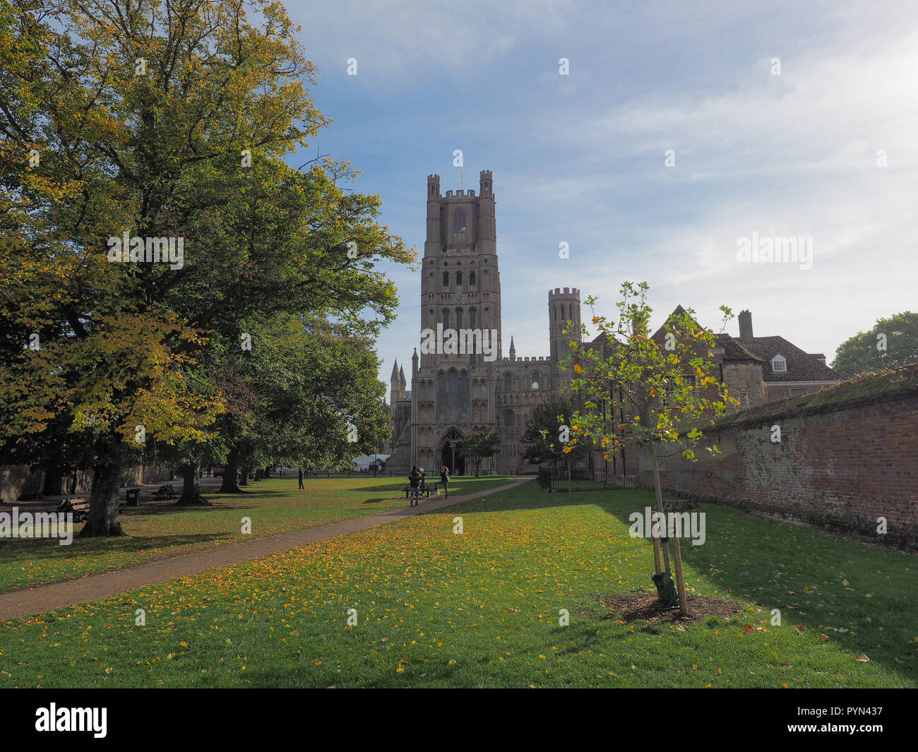 Ely Cathedral (formerly church of St Etheldreda and St Peter and Church ...