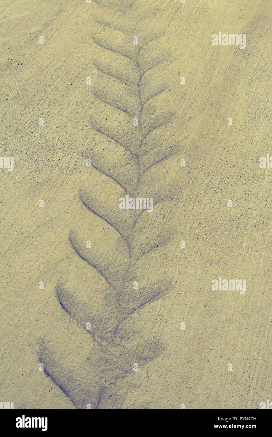 Tire tracks tire marks on Concrete as abstract grunge texture Stock ...