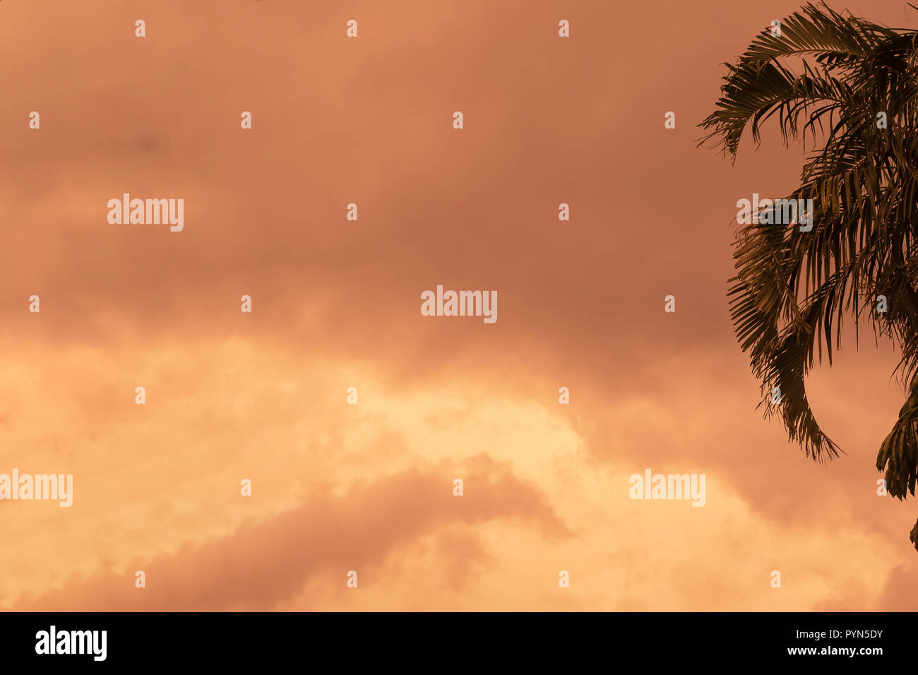 Sky before the rain hi-res stock photography and images - Alamy