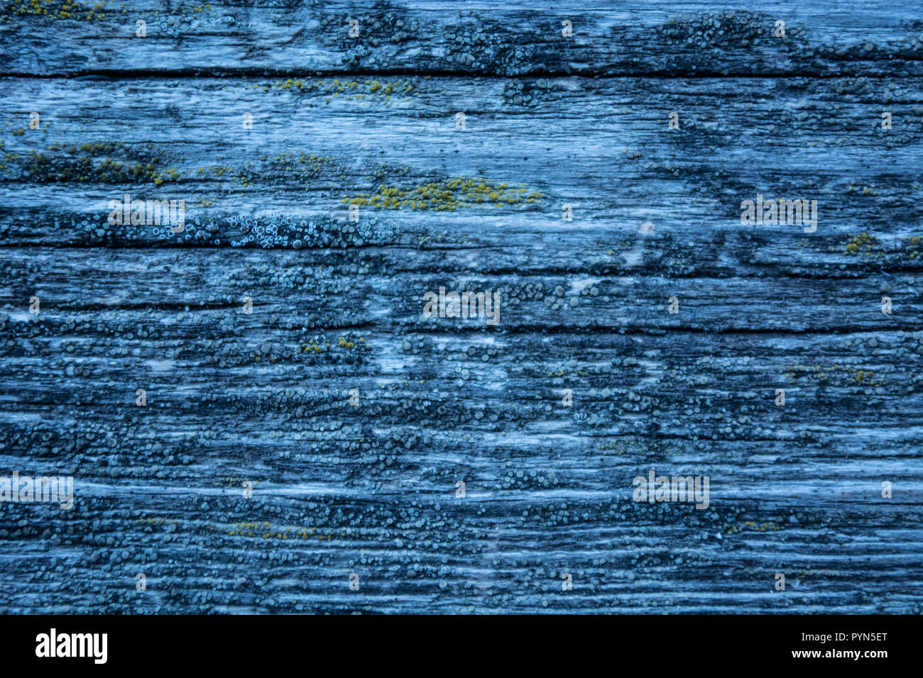Blue realistic old wood textures Stock Photo - Alamy