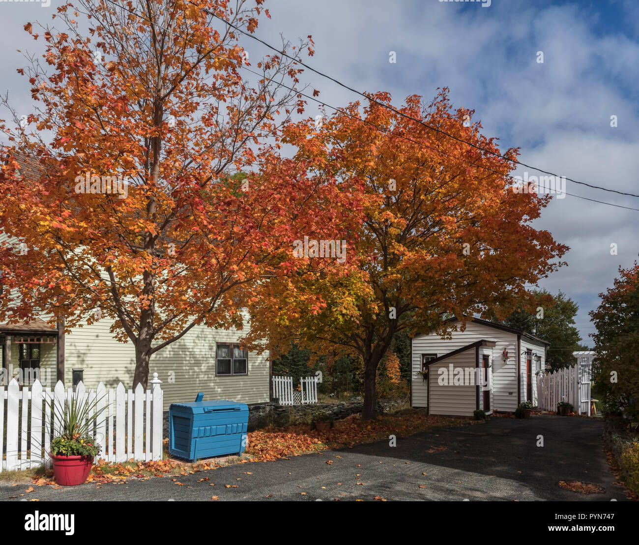 Canada leaf peeping hi-res stock photography and images - Alamy