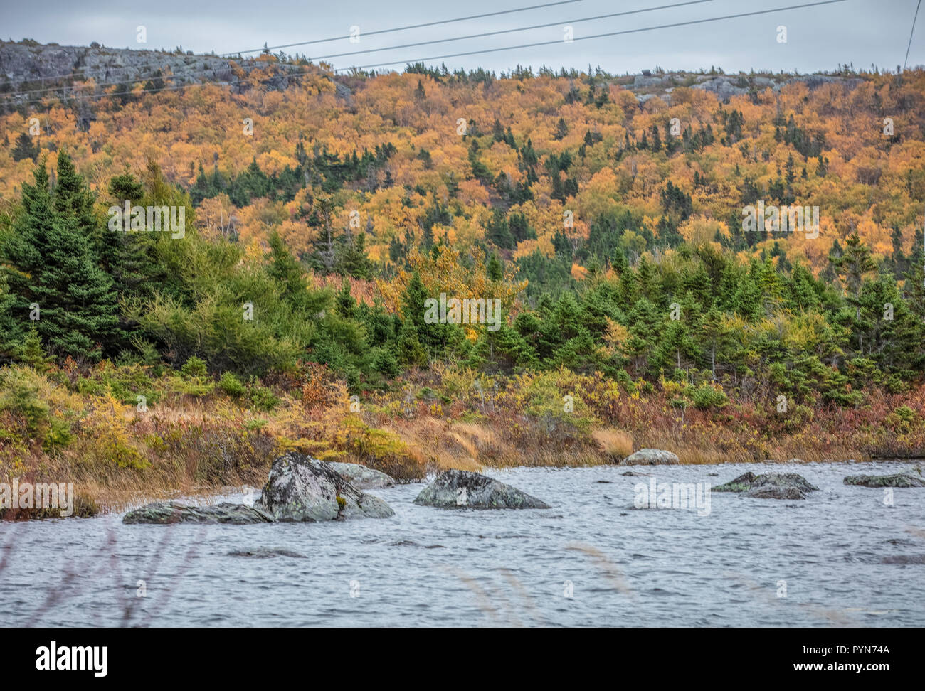 Autumn scene by river Stock Photo - Alamy