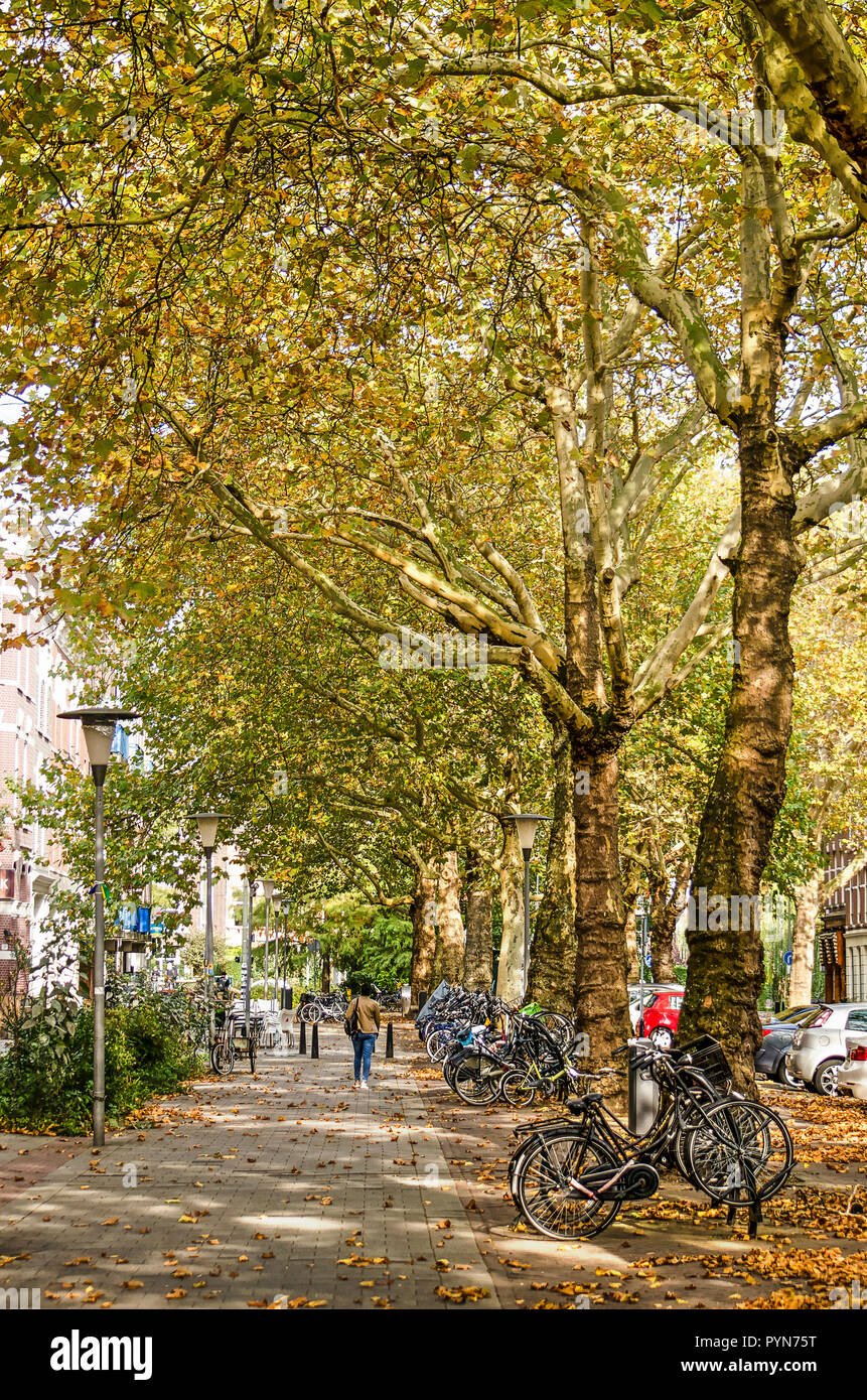 Rotterdam, The Netherlands, October 14, 2018: view of Teylingerstraat ...