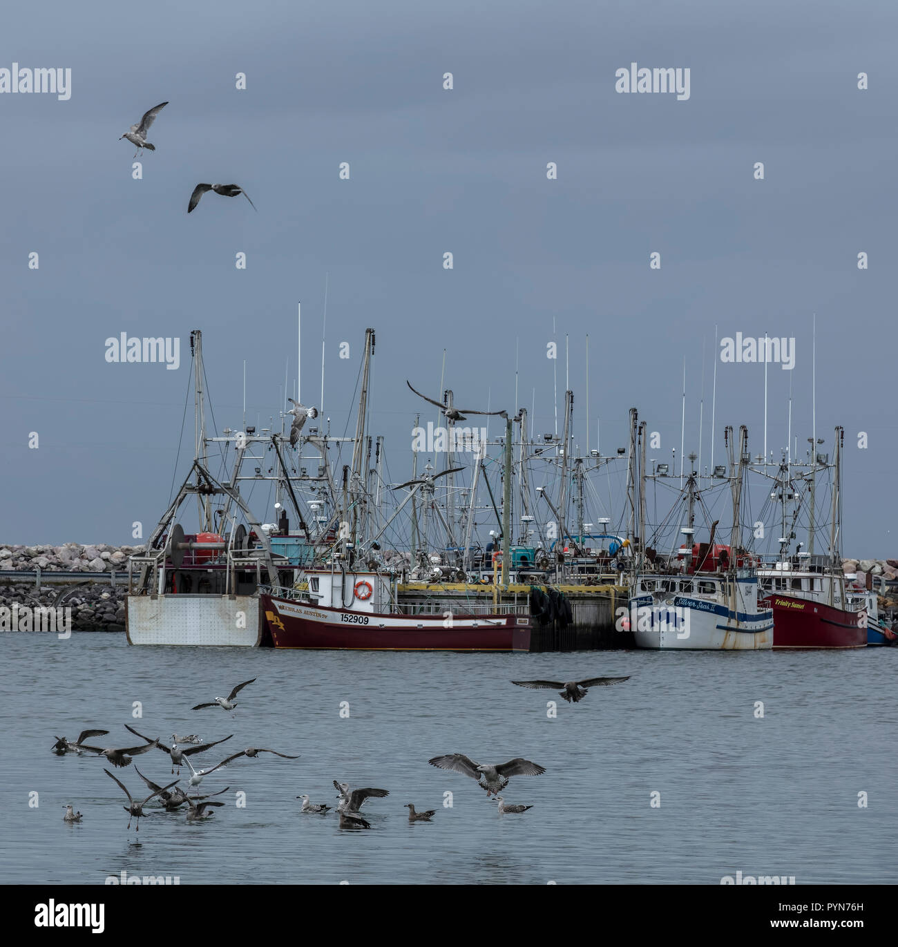 Cod trawler newfoundland hi-res stock photography and images - Alamy
