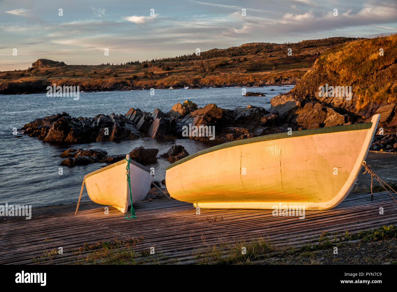Newfoundland sea hi-res stock photography and images - Alamy