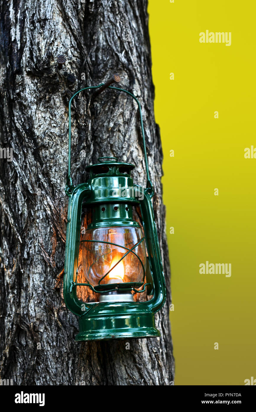 Burning lantern hanging in a Mopani tree in the afternoon. Romantic ...
