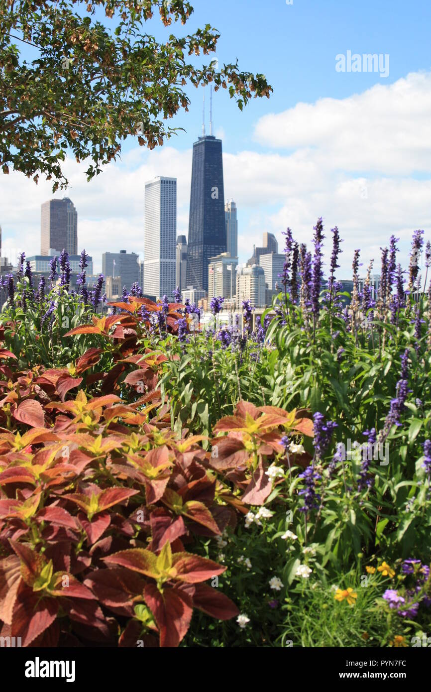 Landscape of Chicago Stock Photo - Alamy