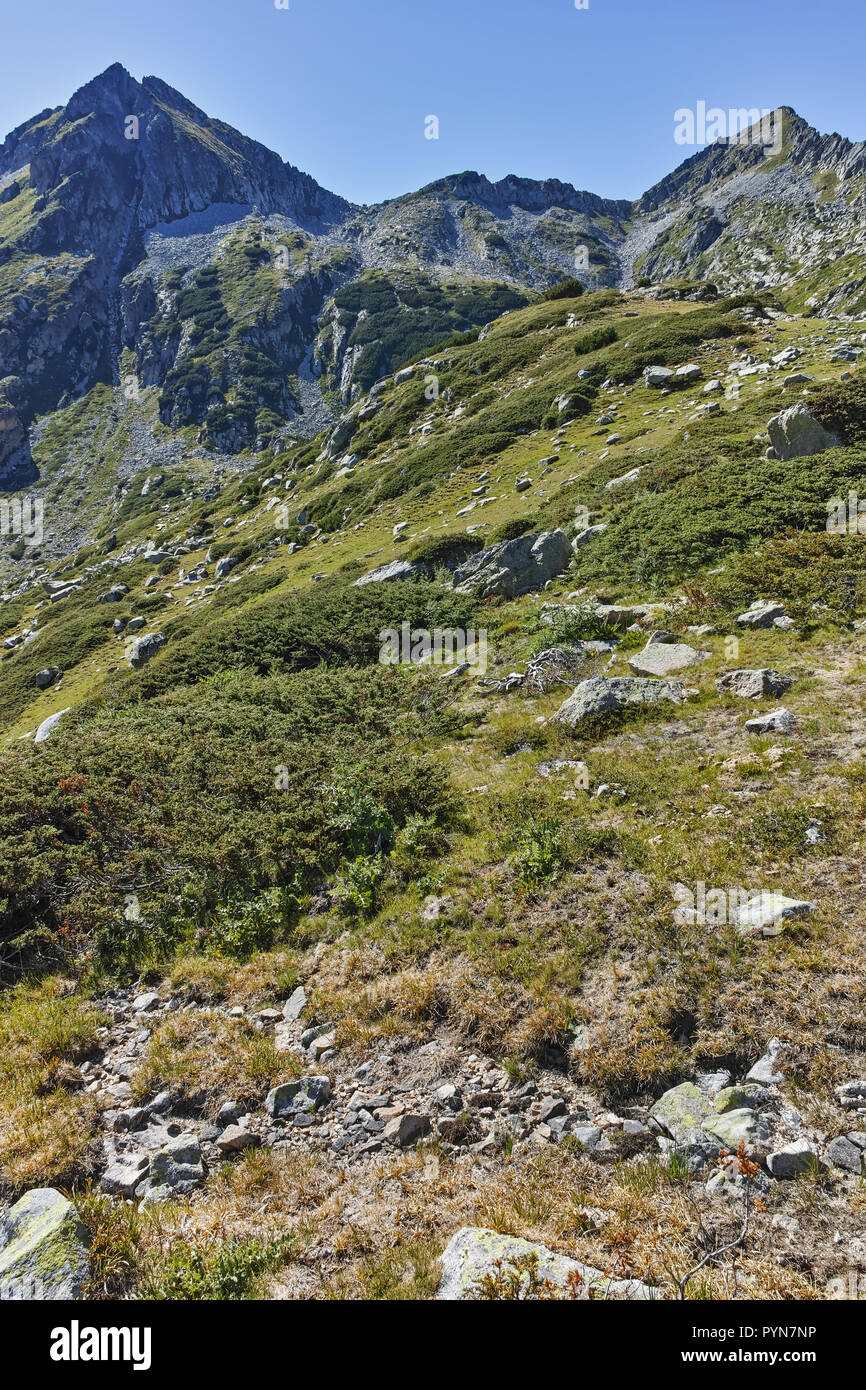 Amazing Landscape with green hills, Pirin Mountain, Bulgaria Stock ...