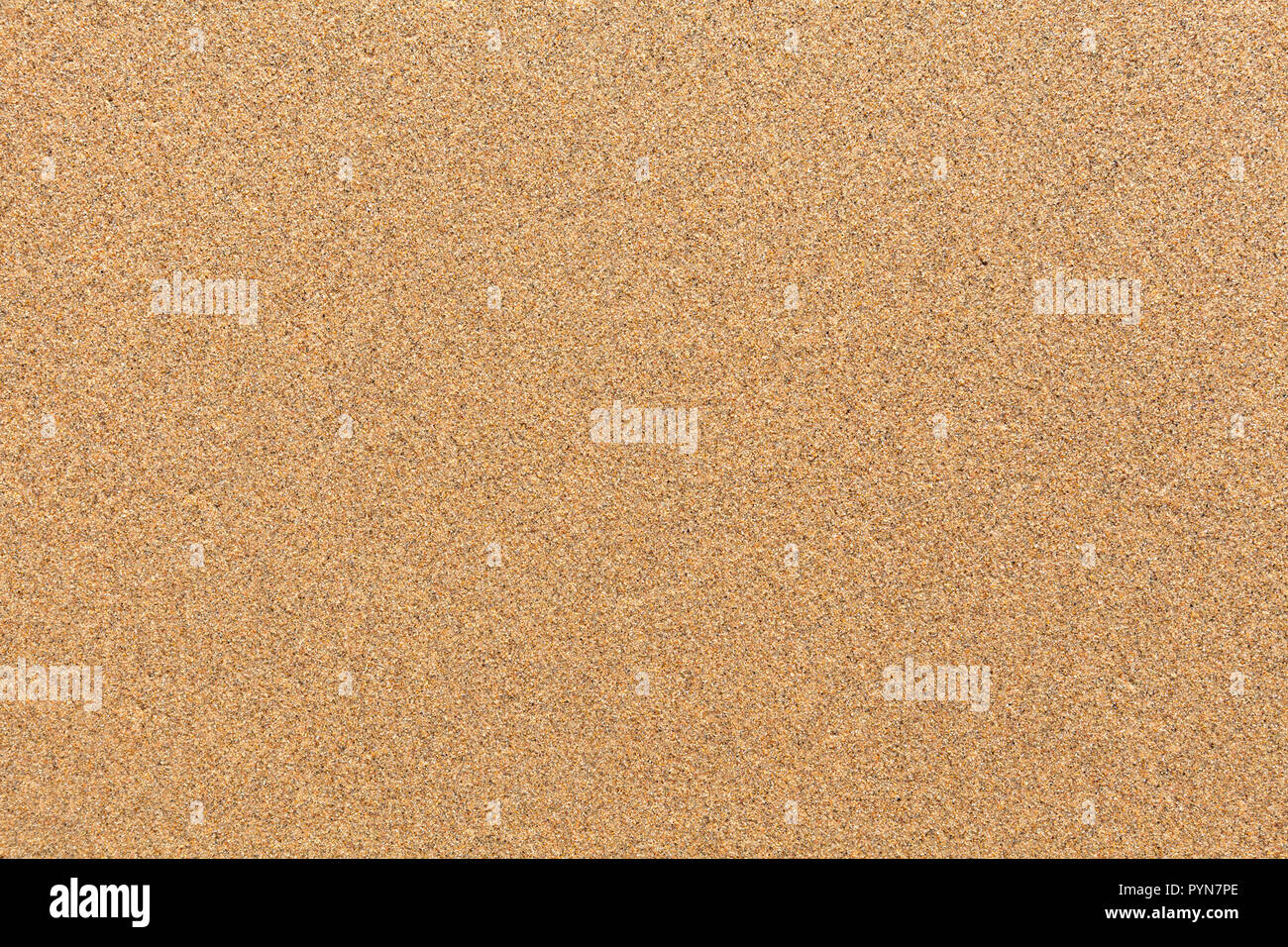 All sand. Sand at a beach in South Africa Stock Photo - Alamy