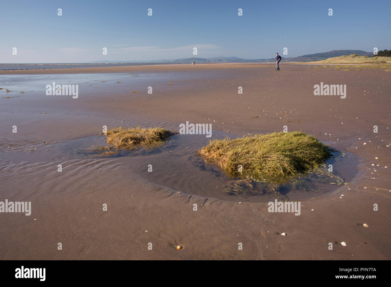 Mersehead beach hi-res stock photography and images - Alamy