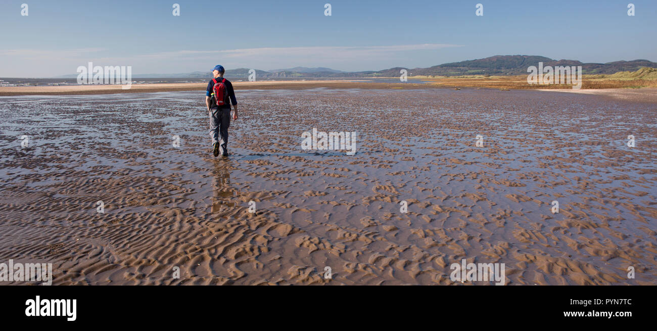 Mersehead rspb reserve hi-res stock photography and images - Alamy