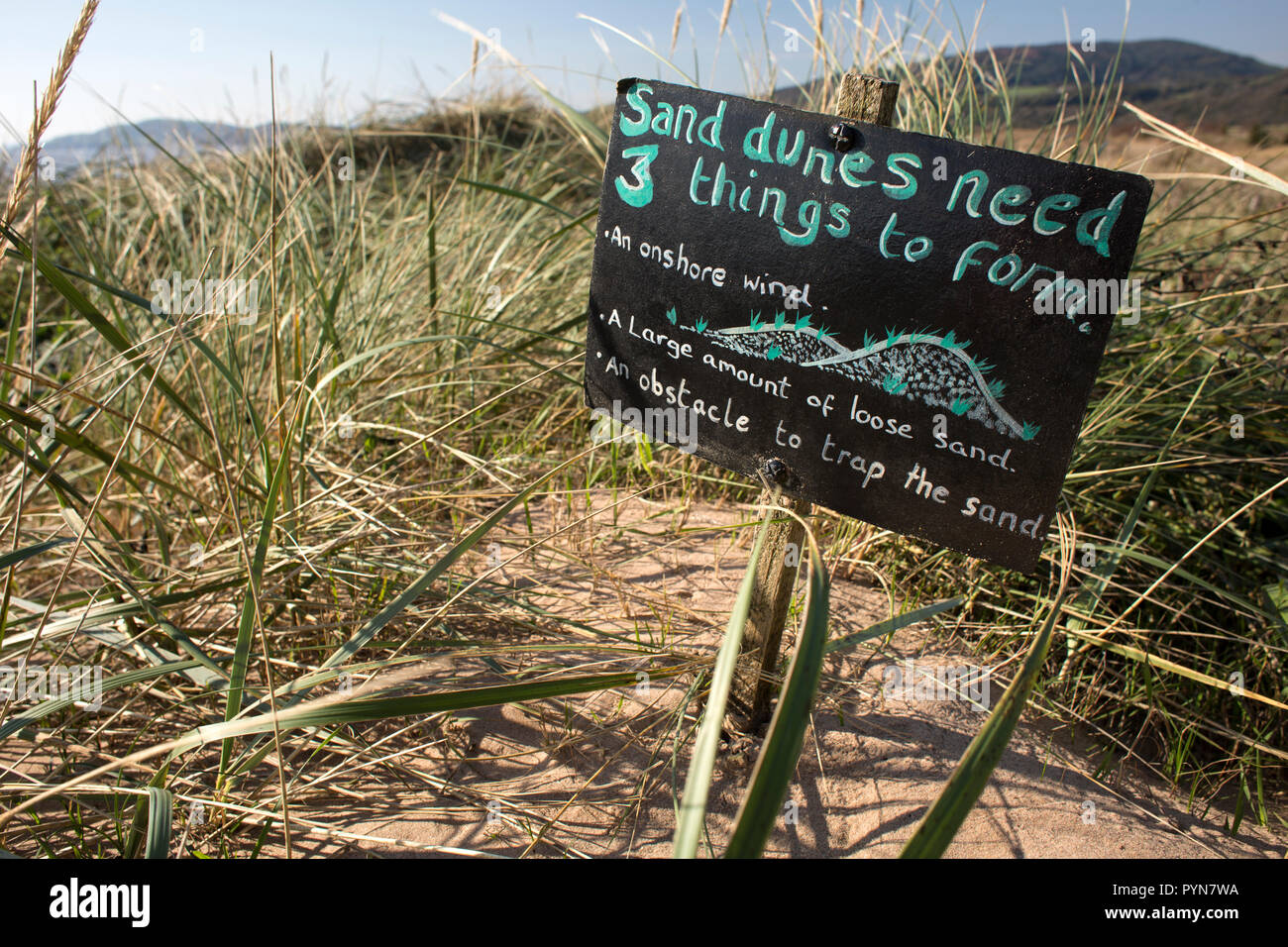 Rspb mersehead reserve hi-res stock photography and images - Alamy