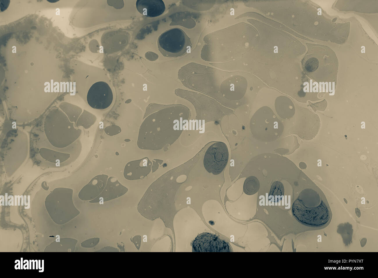 Traditional Ottoman Turkish marbling art patterns as abstract ...