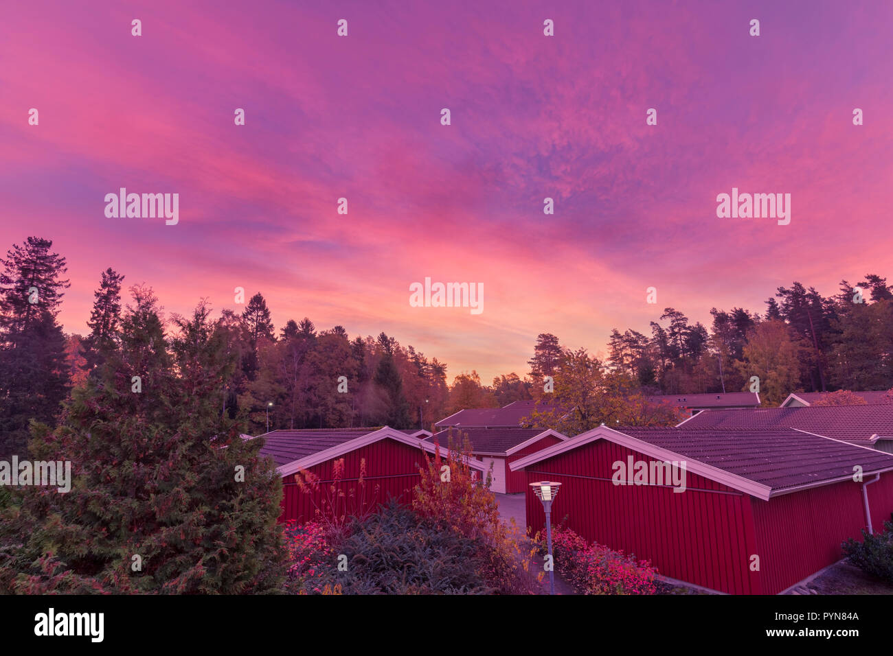 Beautiful vivid pink sky autumn early morning sunrise Stock Photo - Alamy