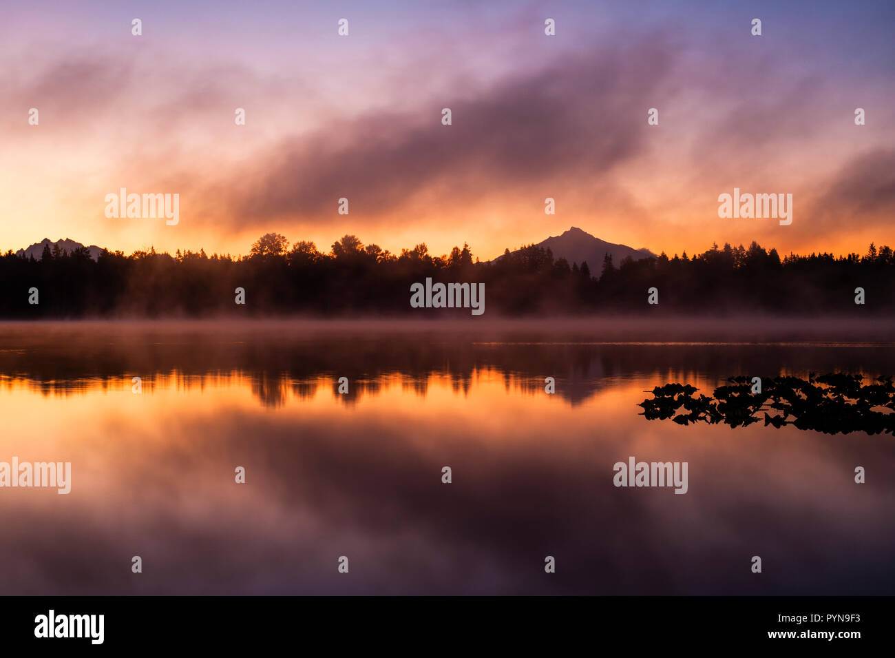 Mount pilchuck hi-res stock photography and images - Alamy