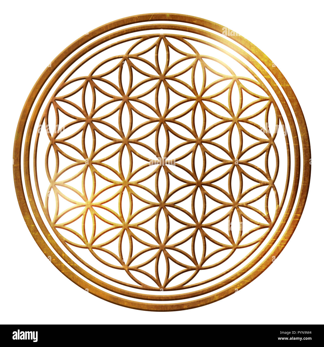 3d Flower Of Life Wallpaper