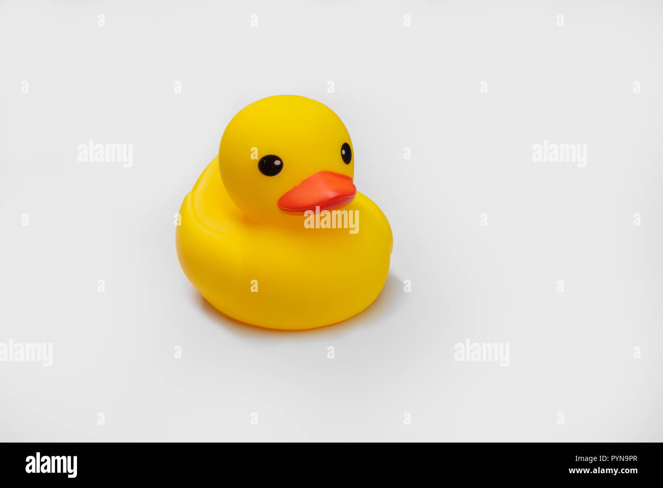 Baby ducks learning hi-res stock photography and images - Alamy