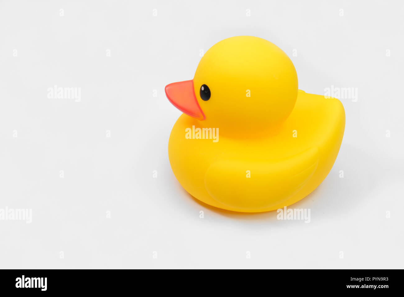 Baby ducks learning hi-res stock photography and images - Alamy