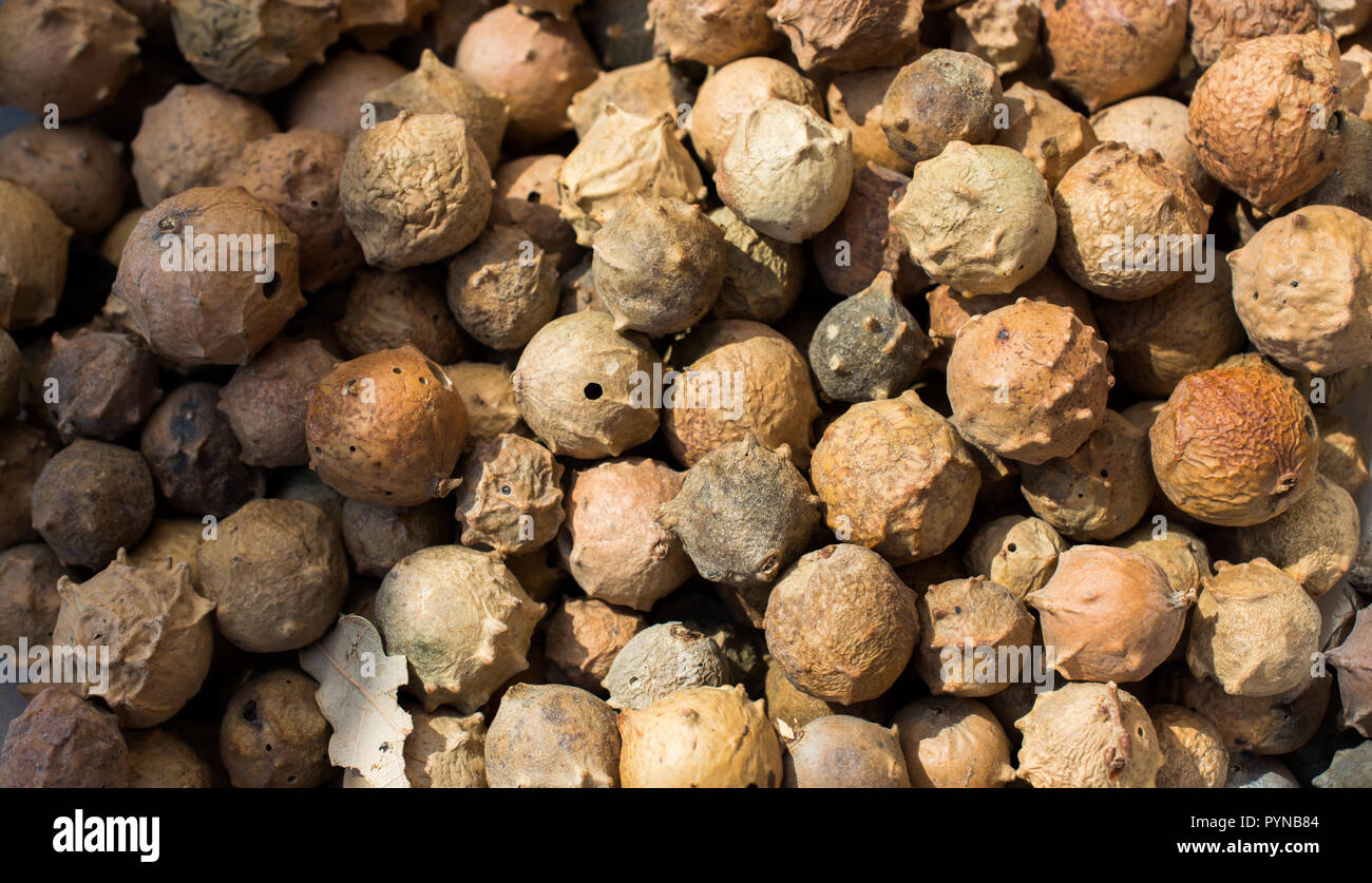 Dry herbal plants as food and remedy Stock Photo - Alamy