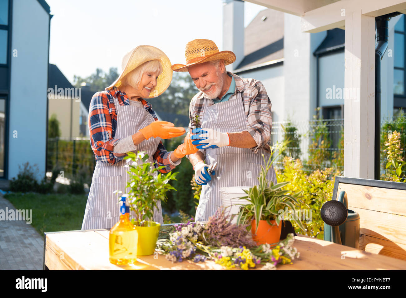 Working together outside hi-res stock photography and images - Alamy