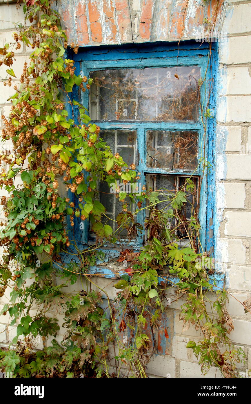 Dull art colours hi-res stock photography and images - Alamy