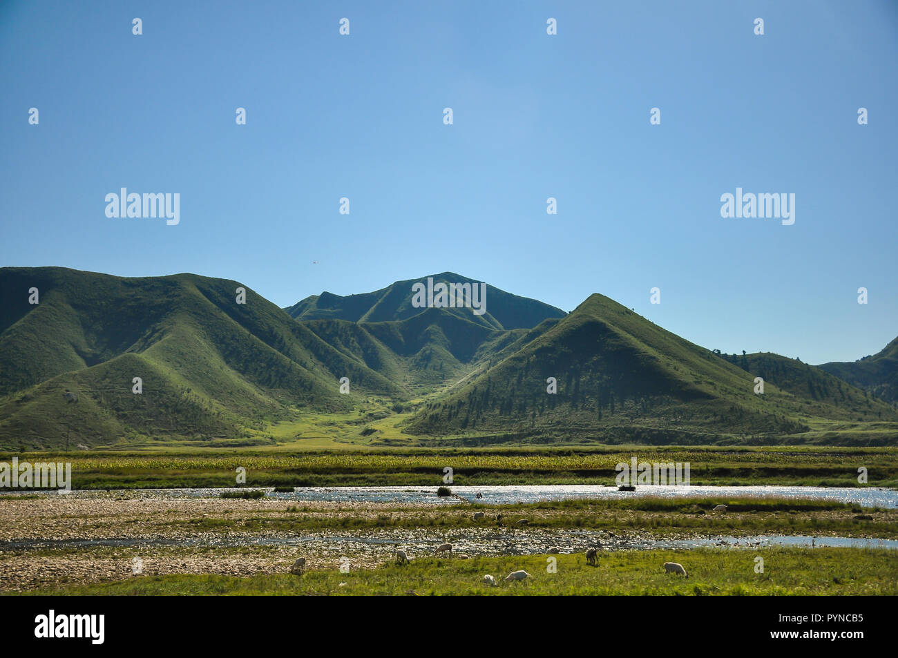 Describe of scenery hi-res stock photography and images - Alamy