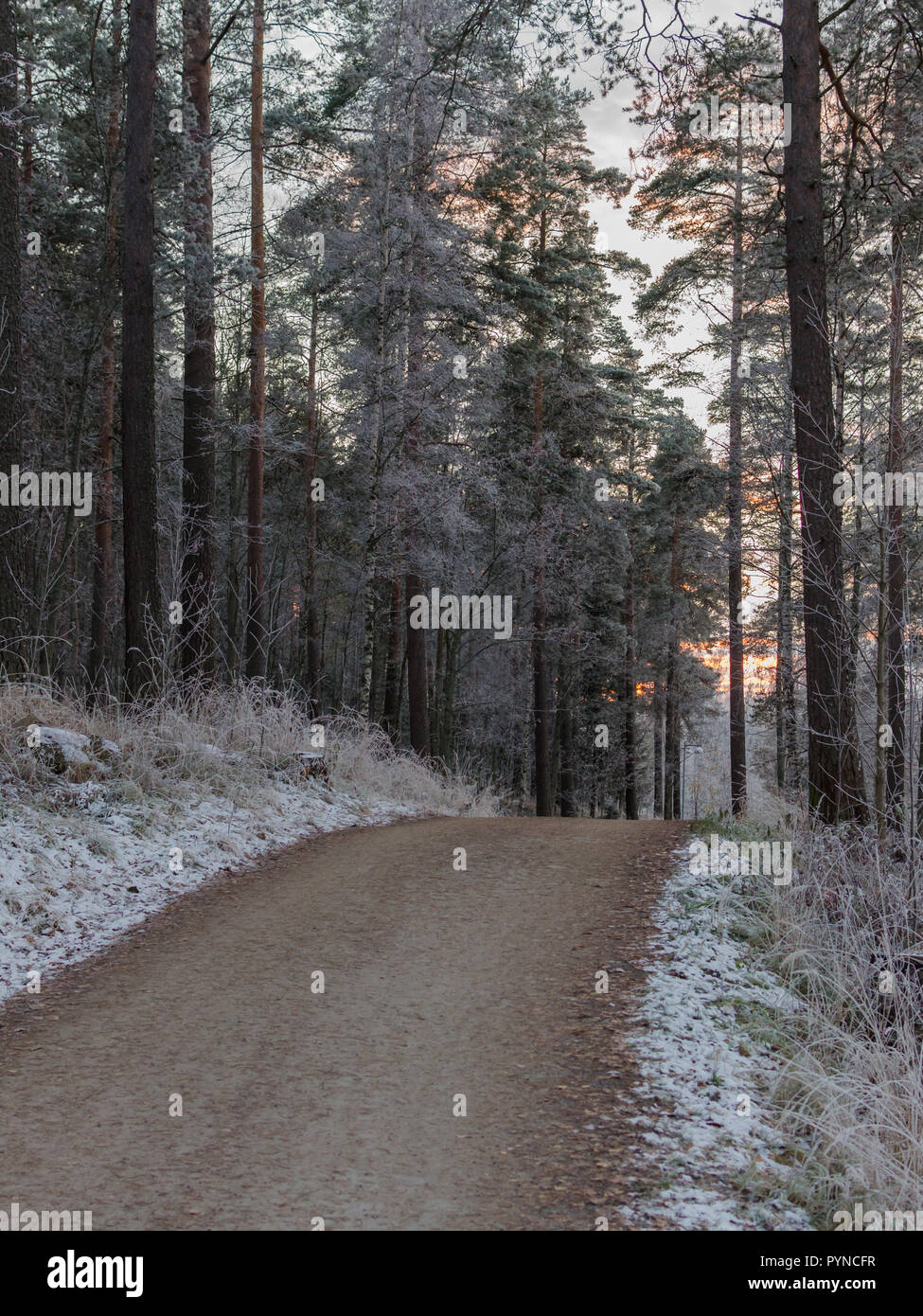 A snowy, frosty path to unknown with colorful sky as the background ...