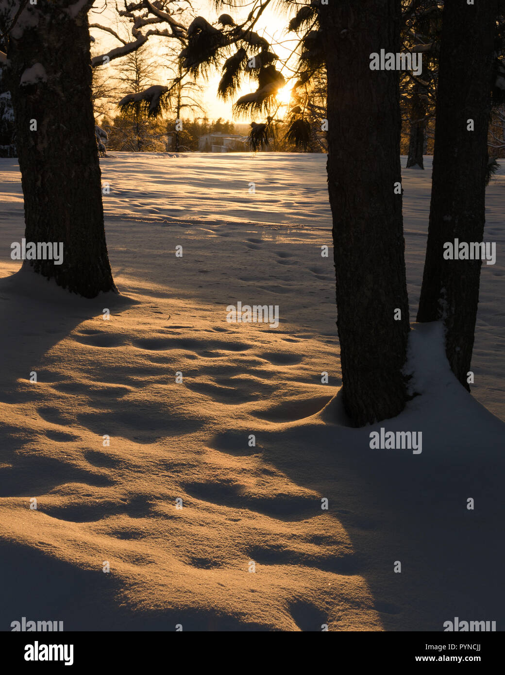 A moody sunset image where the light of the setting sun is penetrating ...