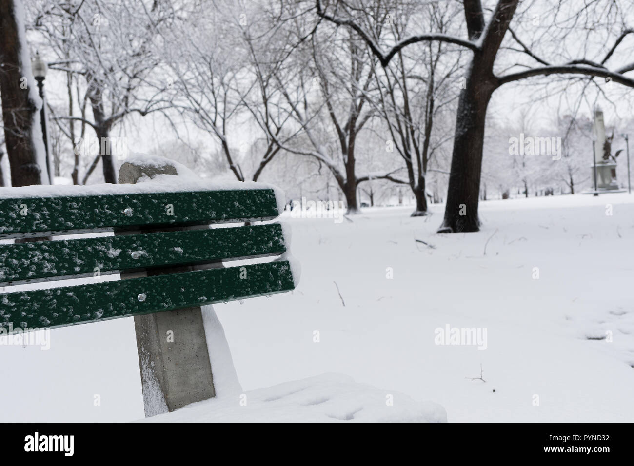 Snow covered bench in Boston Common, fresh snow Stock Photo - Alamy