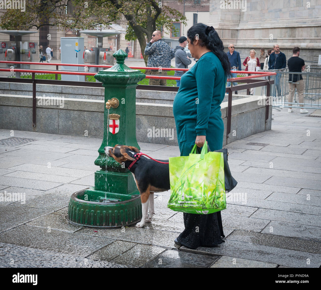 Dog at drinking fountain, street scene, Milan, Italy Stock Photo - Alamy