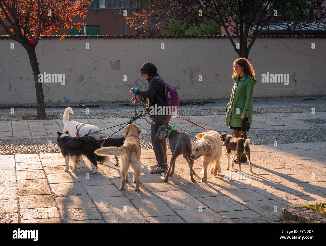 Street scene, Milan, Italy Stock Photo - Alamy