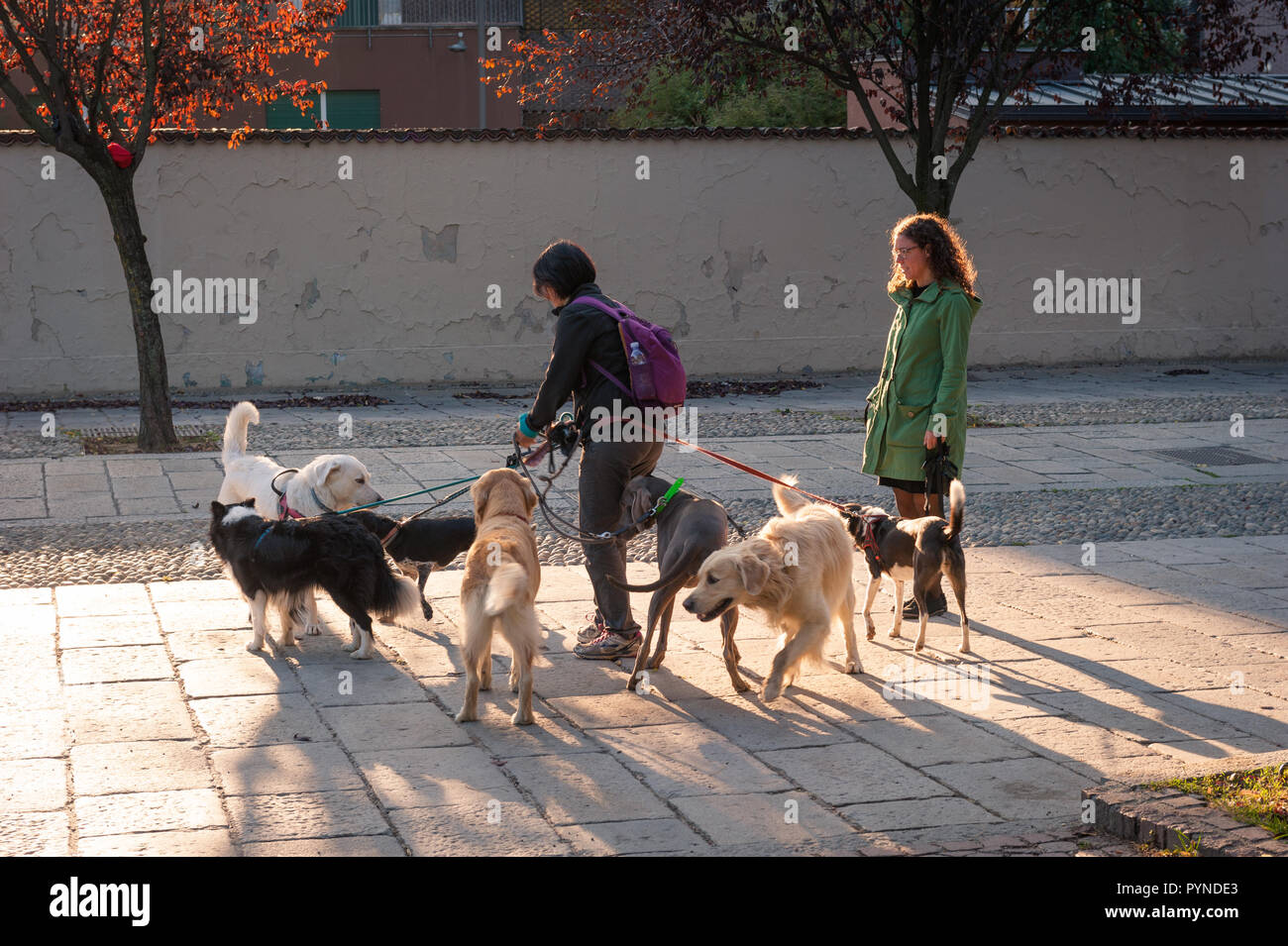 Street scene, Milan, Italy Stock Photo - Alamy
