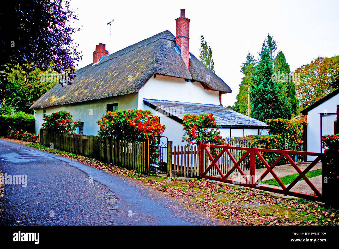 Cottage wiltshire hi-res stock photography and images - Alamy