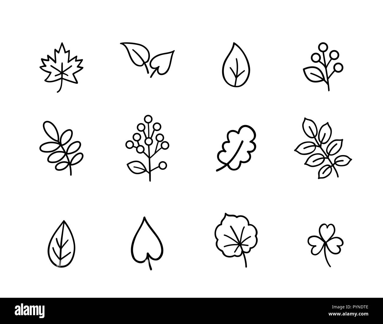Autumn icon set. Fall leaves and berries. Nature symbol line art ...